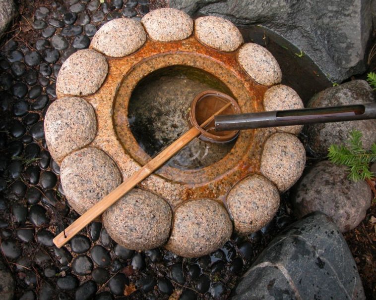 Small Water Features: 8 Ways to Add Small Water Features to Your Garden