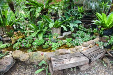 Complete Guide to Water Features in Yard: Create Your Own Tranquil Oasis
