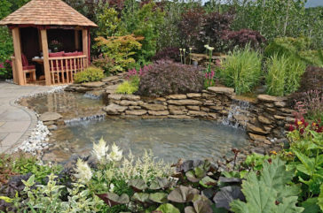 Complete Guide to Water Features in Yard: Create Your Own Tranquil Oasis
