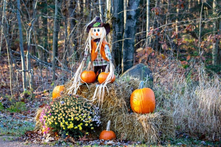 Fall Decor with Hay Bales - The Ultimate Guide