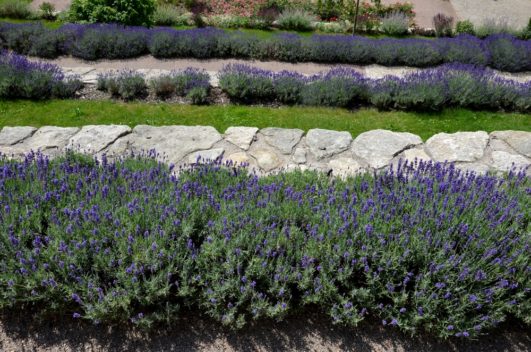 Gravel Strip Around House - Here's Why You Might Need One