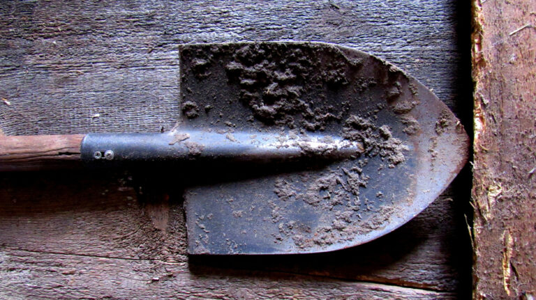 15 Types of Shovels for Every Kind of Yard Work