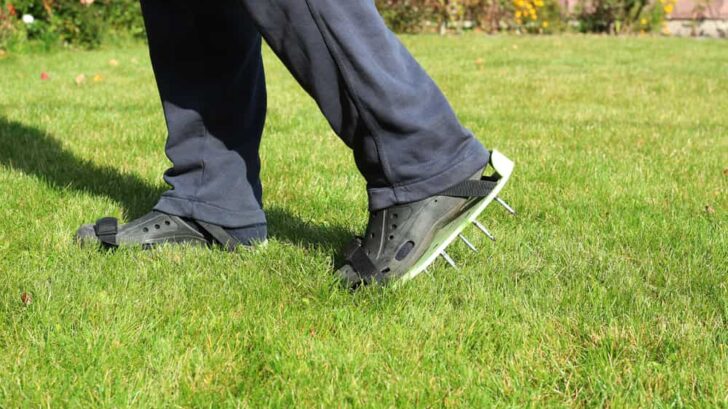 15 Types of Shovels for Every Kind of Yard Work