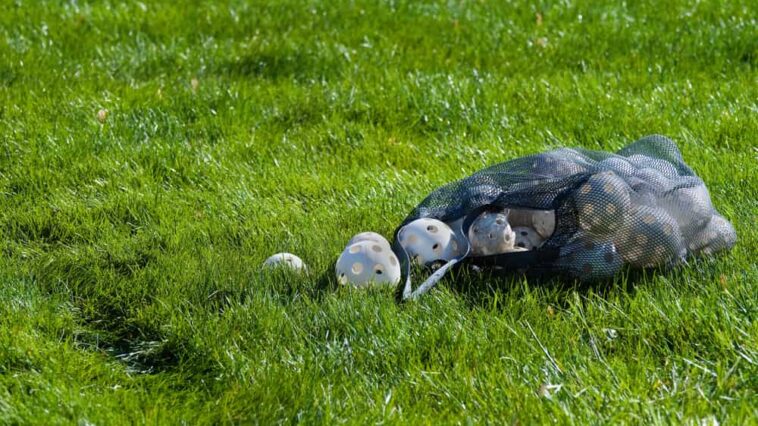 5 Types of Tree Swings for Your Backyard