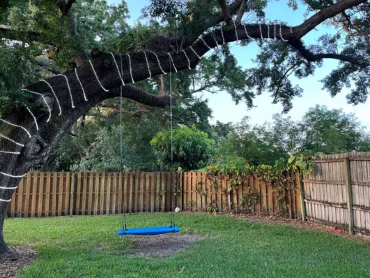 5 Types of Tree Swings for Your Backyard