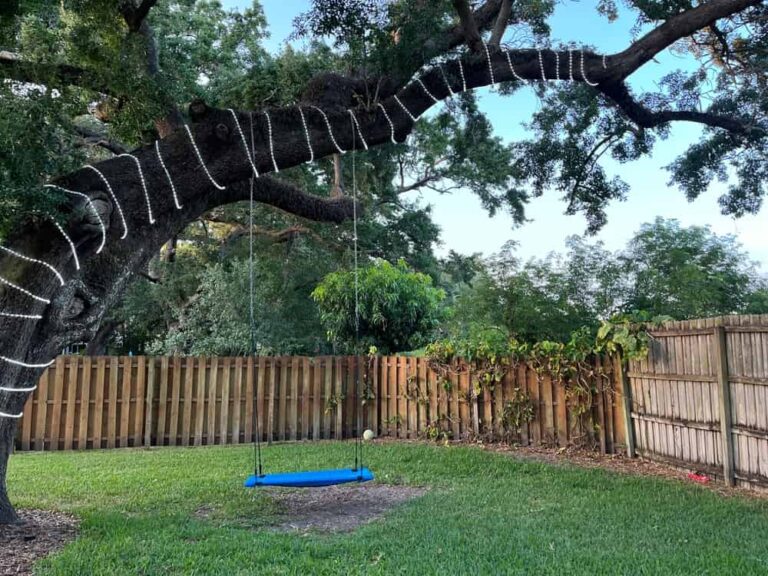 5 Types of Tree Swings for Your Backyard