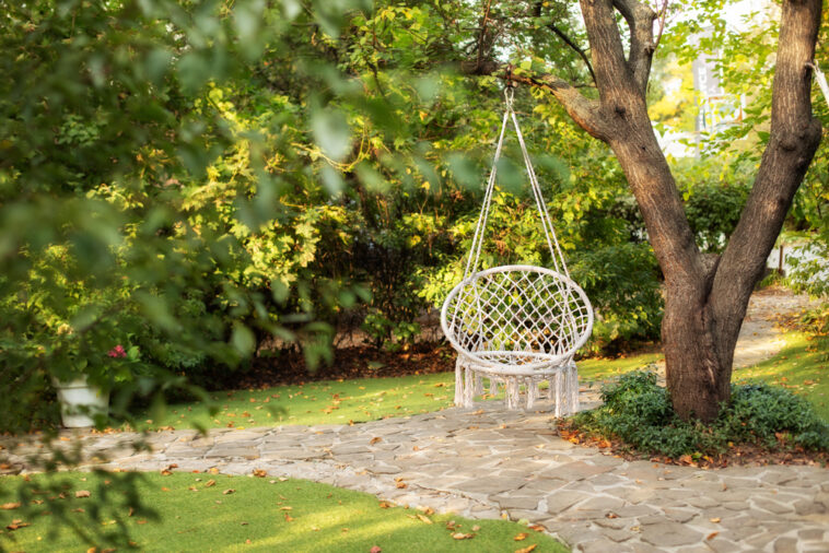 Best Swings for Tree Branches and How to Hang Them