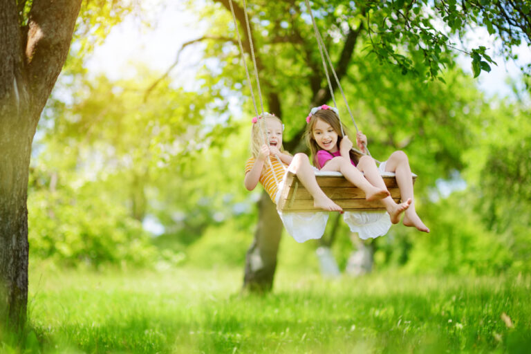 5 Types of Tree Swings for Your Backyard