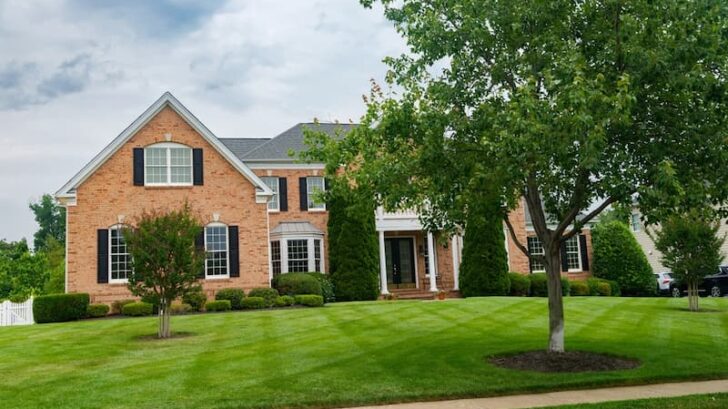 10 Exciting Frisbee Games For Kids That Can Be Played In The Backyard