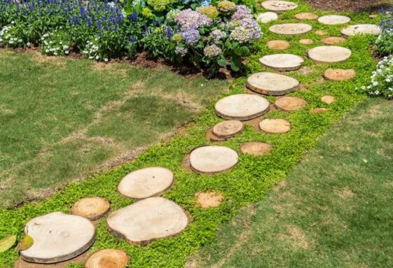 10 Amazing Tree Stump Ideas: Turn Your Tree Stump Into a Work of Art