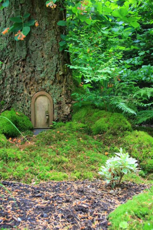 10 Amazing Tree Stump Ideas: Turn Your Tree Stump Into a Work of Art