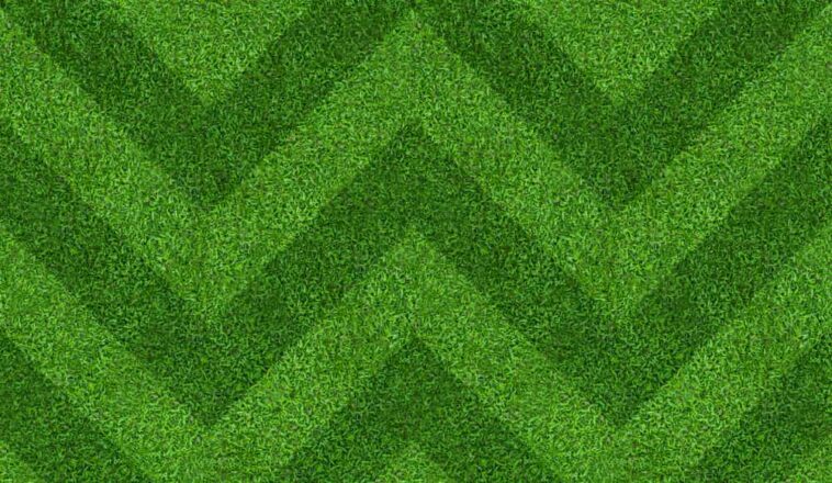 8 Lawn Mowing Patterns Your Neighbors Will Envy